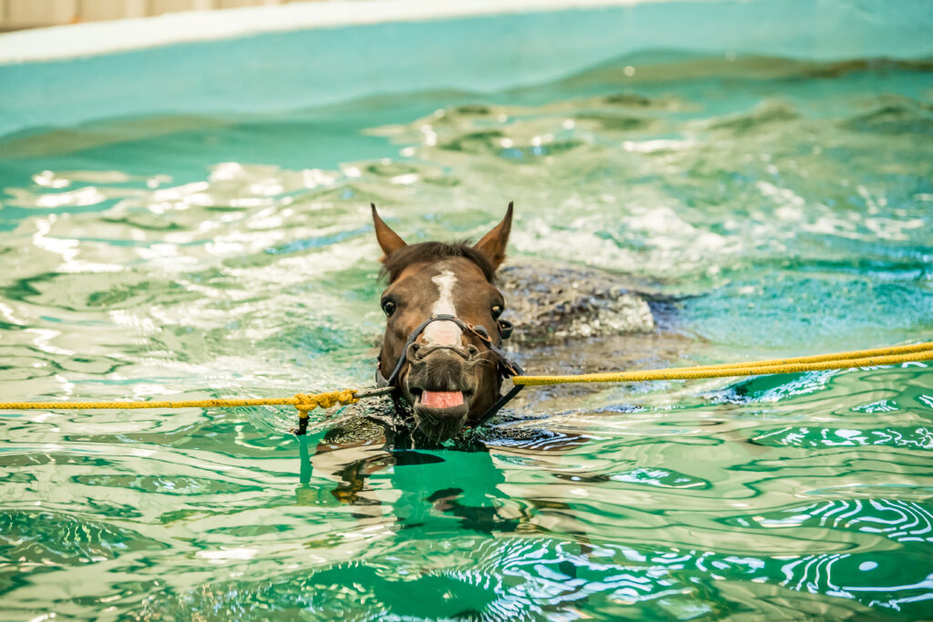 Facilities - Coombelands Equestrian