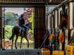 Facilities - Coombelands Equestrian